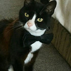 Jazzy Note Blocks | Aaron Grooves