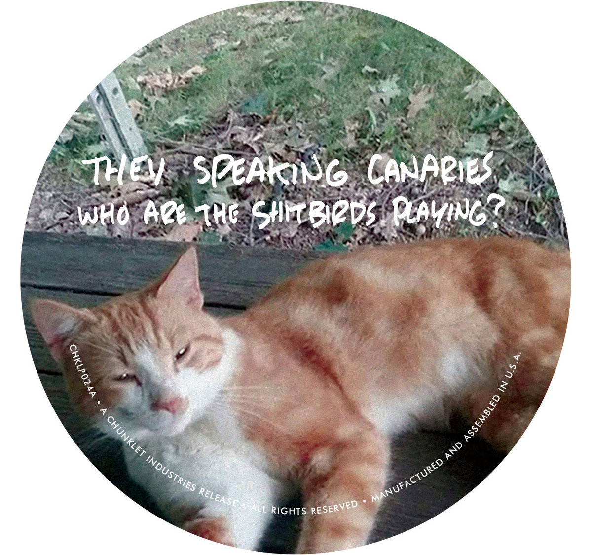 Who Are The Shitbirds Playing? | They Speaking Canaries | Chunklet ...