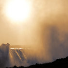 Exploding Trees & Airplane Screams | Patterson Hood