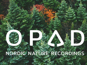 Music | OPAD Recordings
