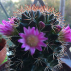 More Scared Of You Than You Are Of Me | The Smith Street Band