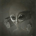 Dehumanization Protocol | Extermination Dismemberment | Unique Leader Records