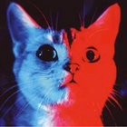 NIGHTLIFE | YURAGI (揺らぎ) | Sango Records