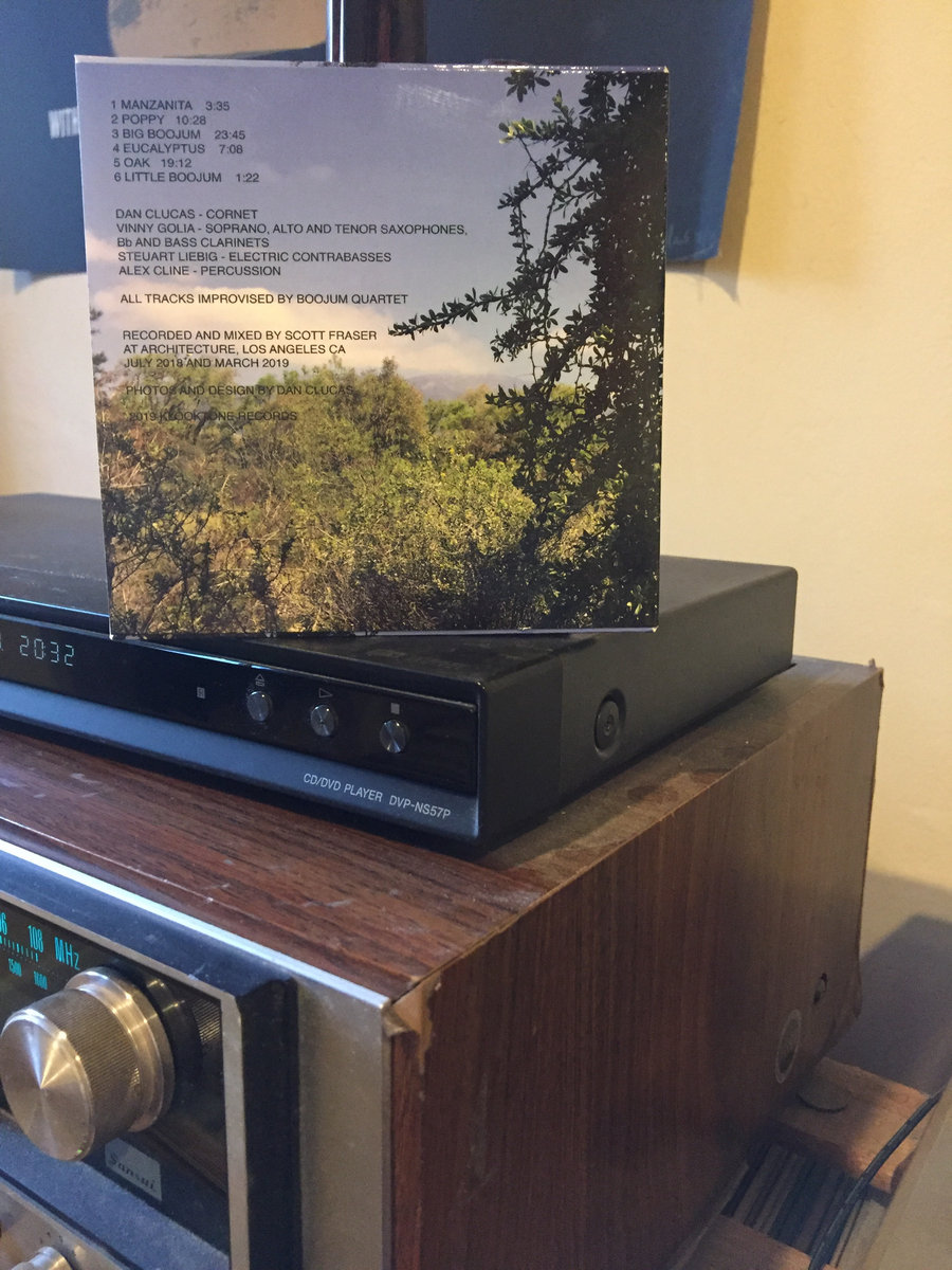 Boojum Quartet - Dan Clucas/Vinny Golia/Steuart Liebig/Alex Cline | Dan ...