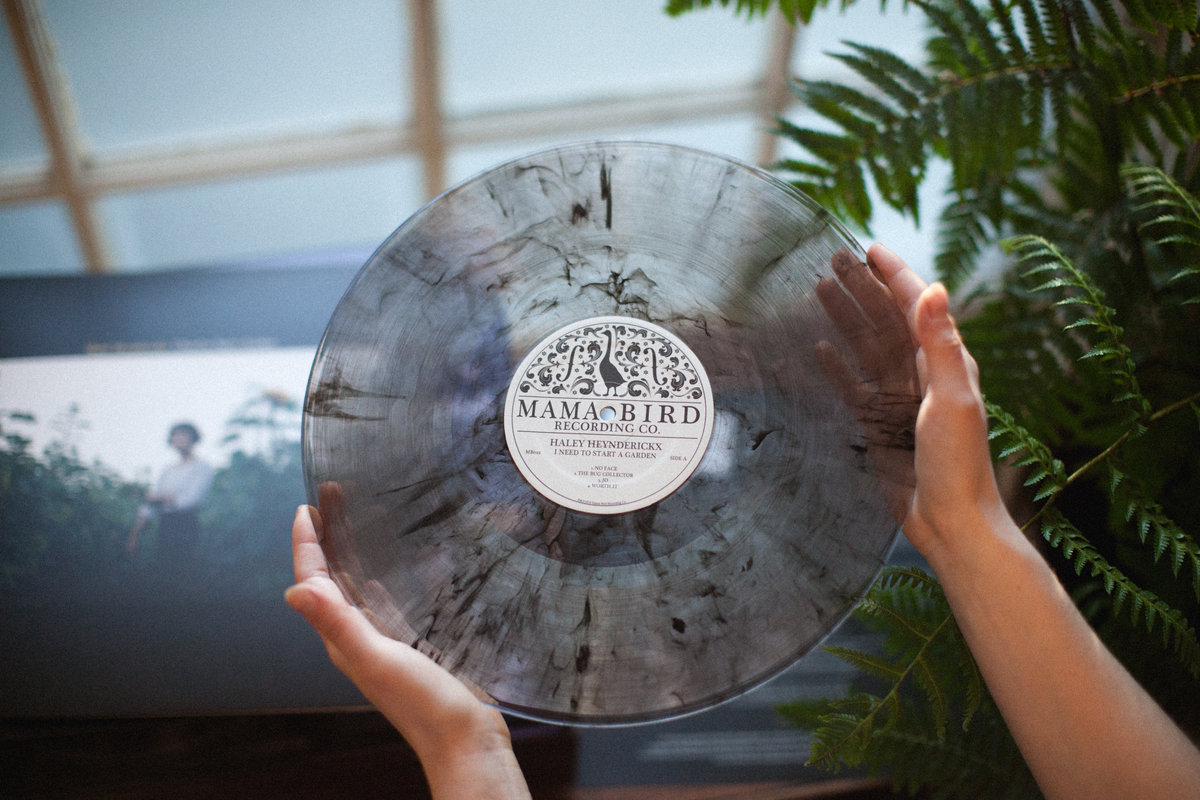 The Bug Collector | Haley Heynderickx