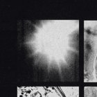 Wild Light | 65daysofstatic | Bird's Robe Records