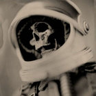 NOM NOM / CAT BURGLAR | Sleaford Mods / Hot Chip | Sleaford Mods