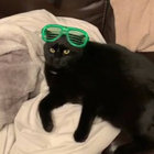 Joy, Departed | Sorority Noise