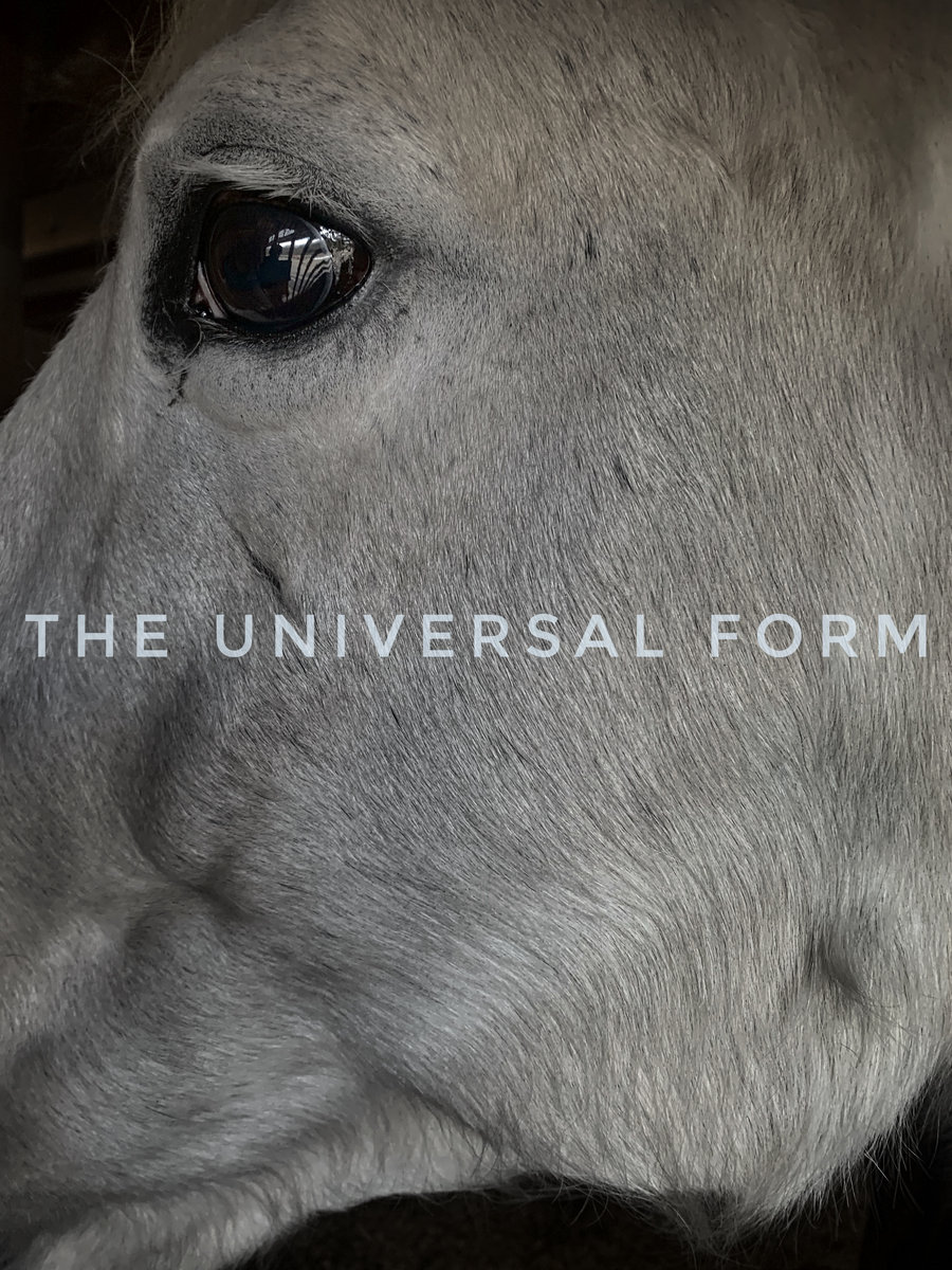 Three | The Universal Form