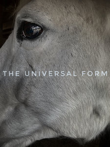 Music | The Universal Form