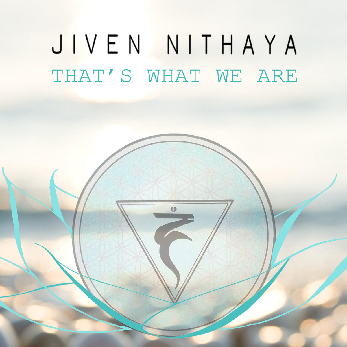 That's what we are | Jiven Nithaya