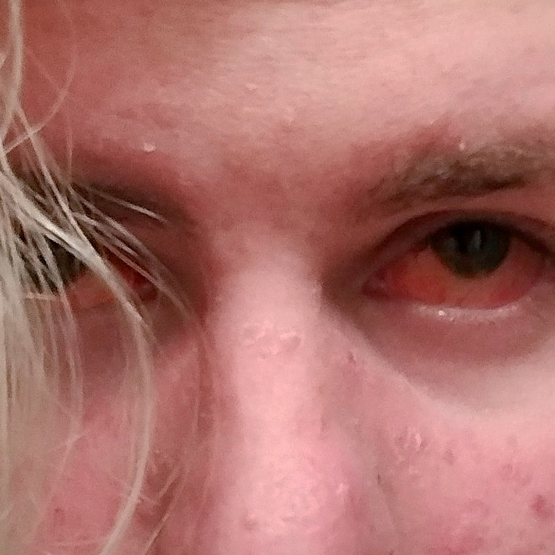 Wannabe | Wolf Márk