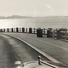 Minute Bodies: The Intimate World Of F. Percy Smith | tindersticks