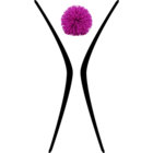 Together Through Time | TWRP