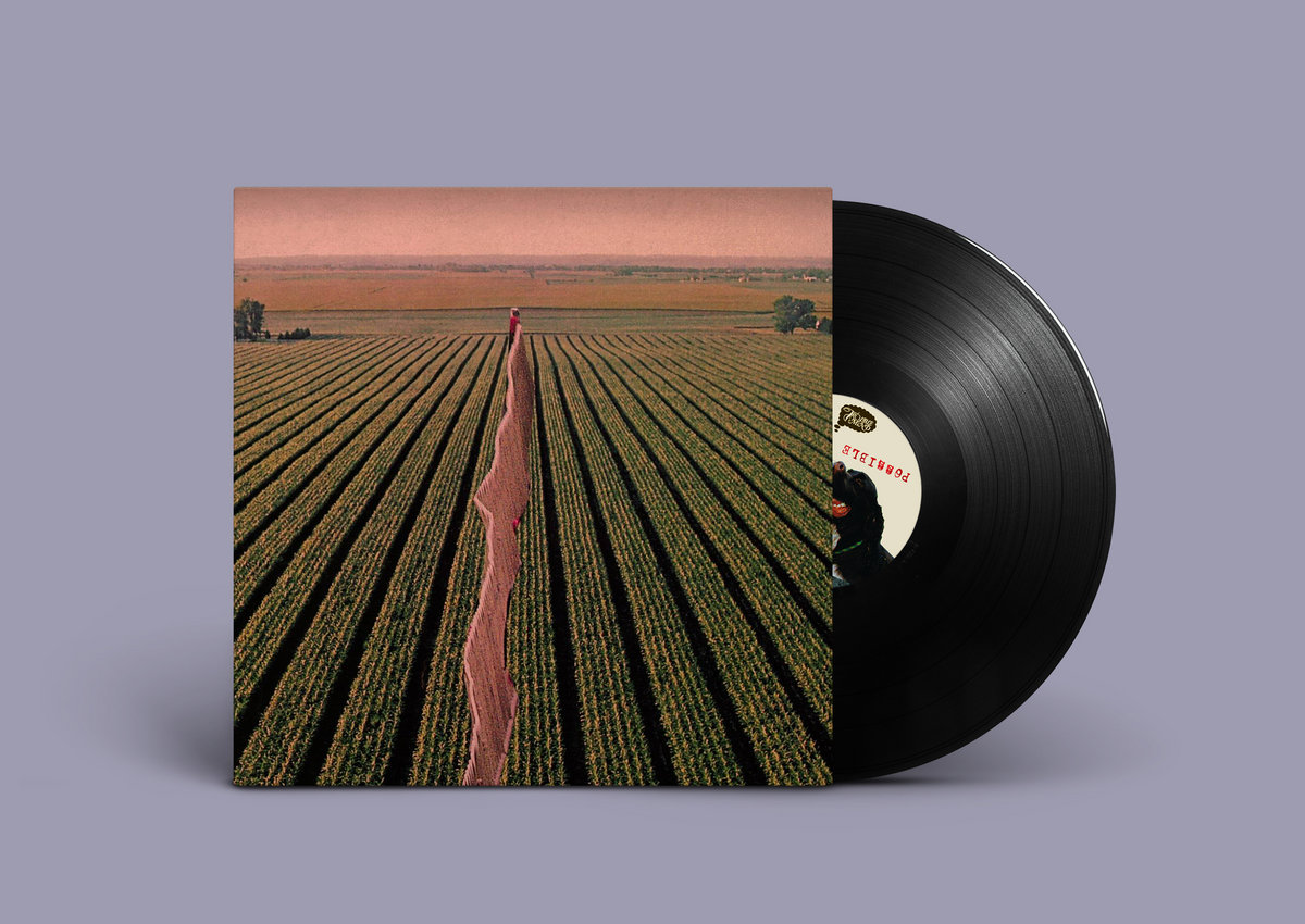 Everybody Split | Possible Humans