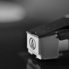 Filoxiny | Skinshape