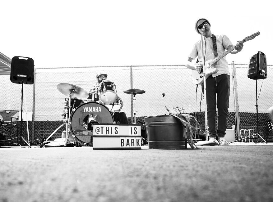 The BARK Album | BARK