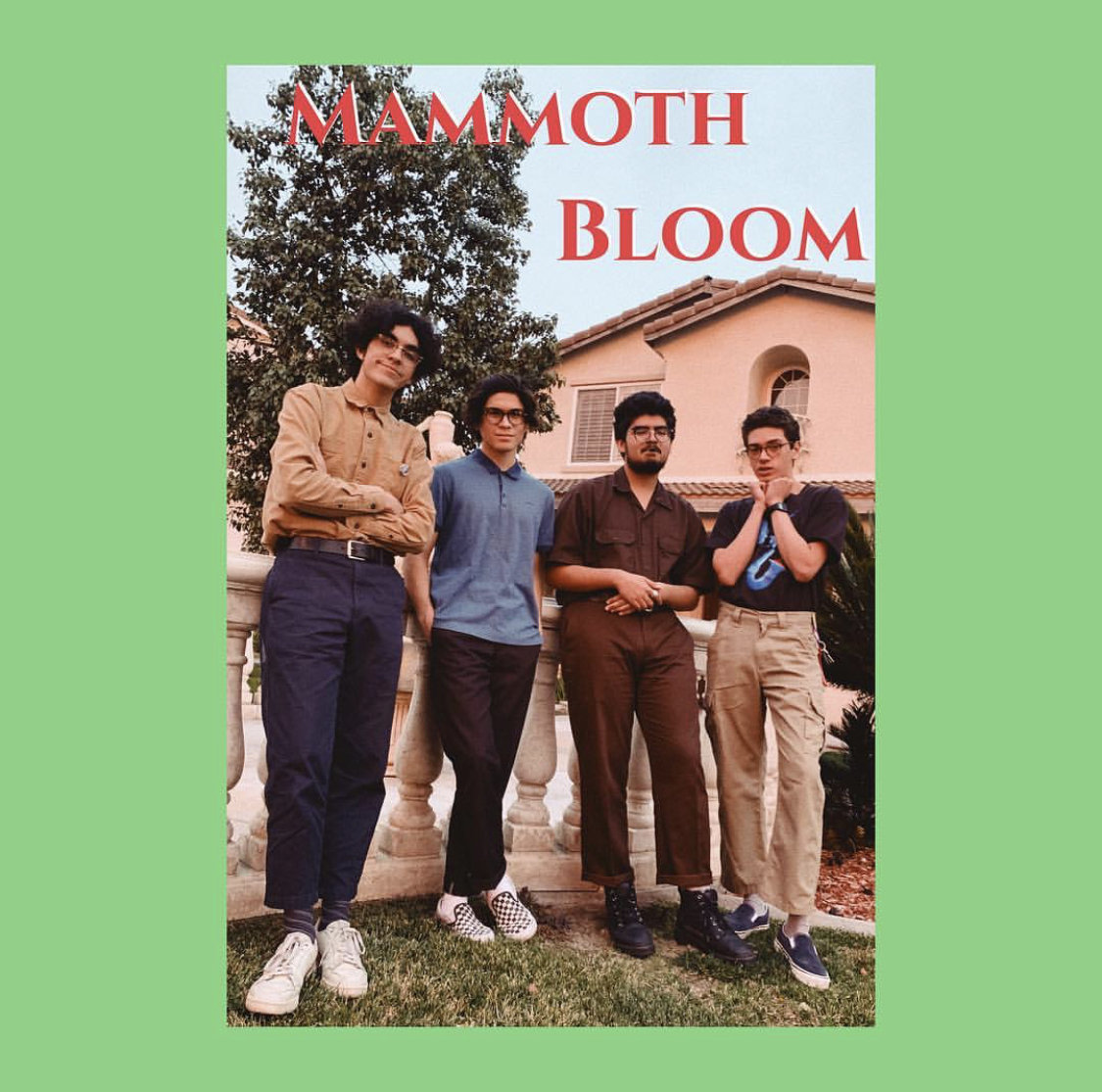 2016-2019 | Mammoth Bloom