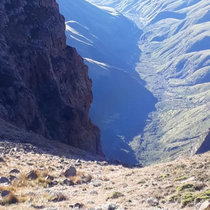 stevenhawes' collection | Bandcamp