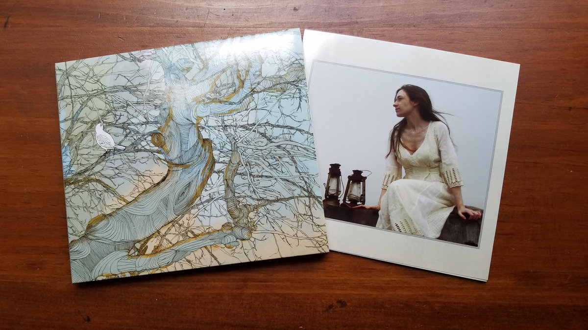 The Summer Storm Journals | Noe Venable