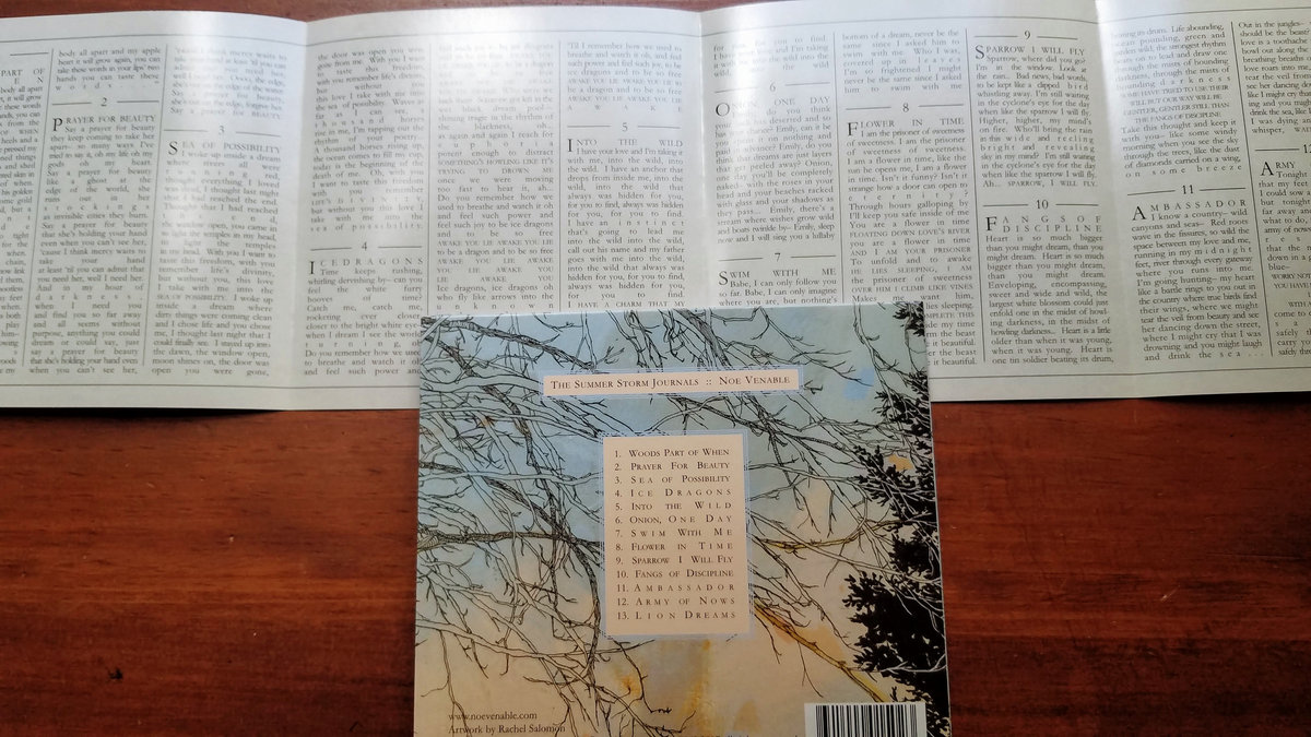 The Summer Storm Journals | Noe Venable