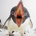 People Are Machines | Skelephant