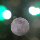 Covered Mirror Vol 1. - Smooth As Silk | Unitopia | Bird's Robe Records