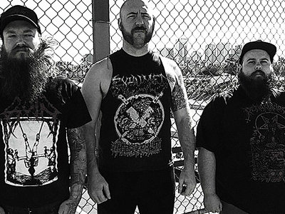 Artists | Maggot Stomp