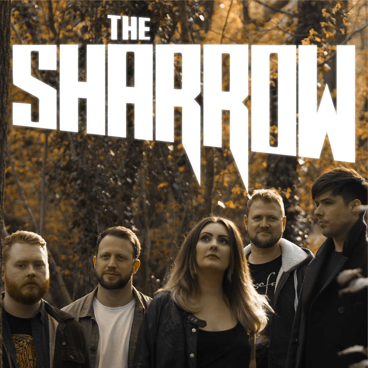 to the Treehouse | The Sharrow