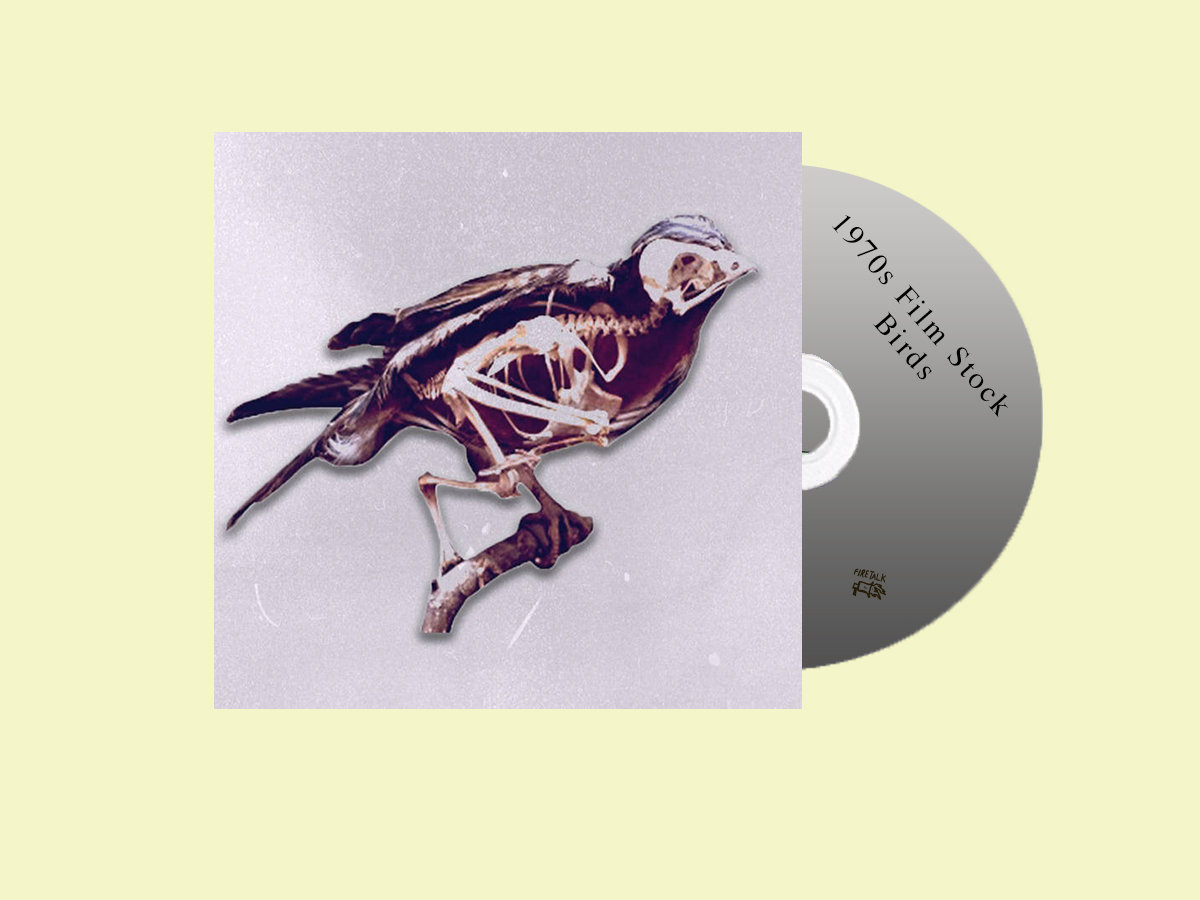 Birds | 1970s Film Stock