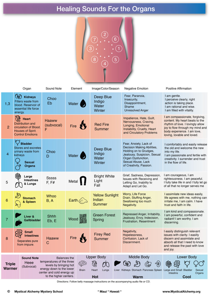 Sound Healing for the Organs Laminated Chart | Mystical Alchemy