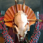 La Femme Ressort (EP) | La Femme | LA FEMME