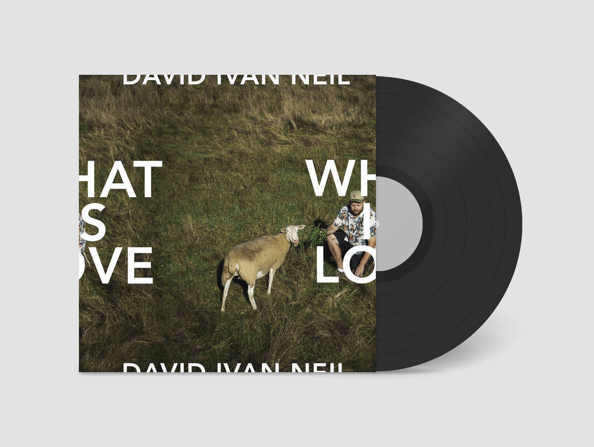 What is Love | david ivan neil