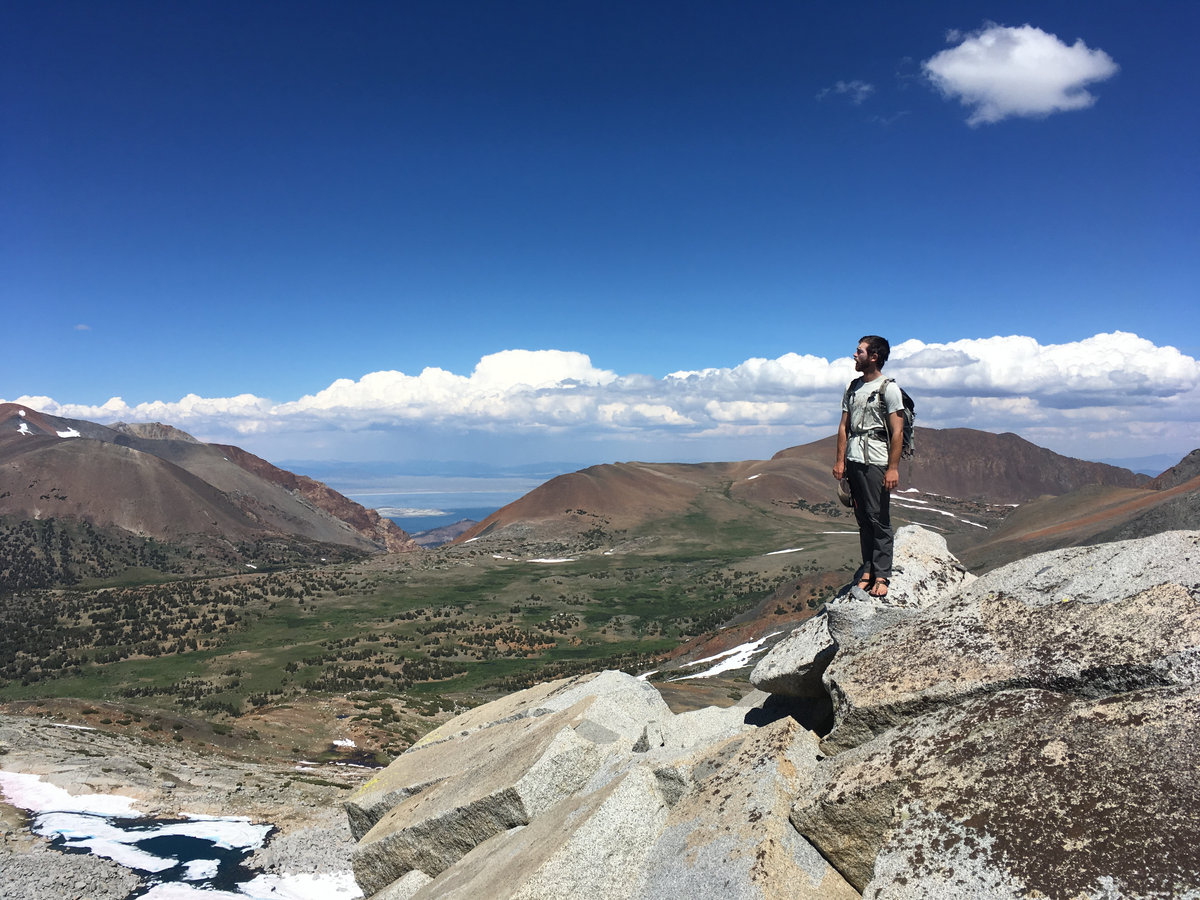 Limited directional change in mountaintop plant communities over 19 ...