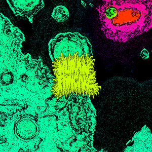 Merch | Human Pancake