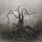 Solace | VINTERBRIS | Nordavind Records
