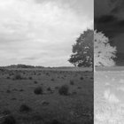 The Gold & Silver Sessions | Elder