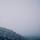 Targeted Individuals | Sansibar | FTP