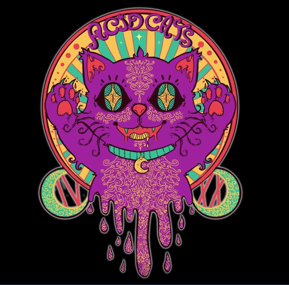 Dru's Interlude | Acid Cats