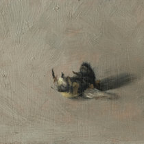 joshuaschaefer's collection | Bandcamp