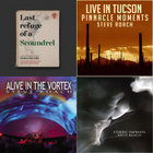 Groove Immersion | Steve Roach