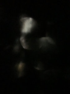 Music | Pantry Ghost