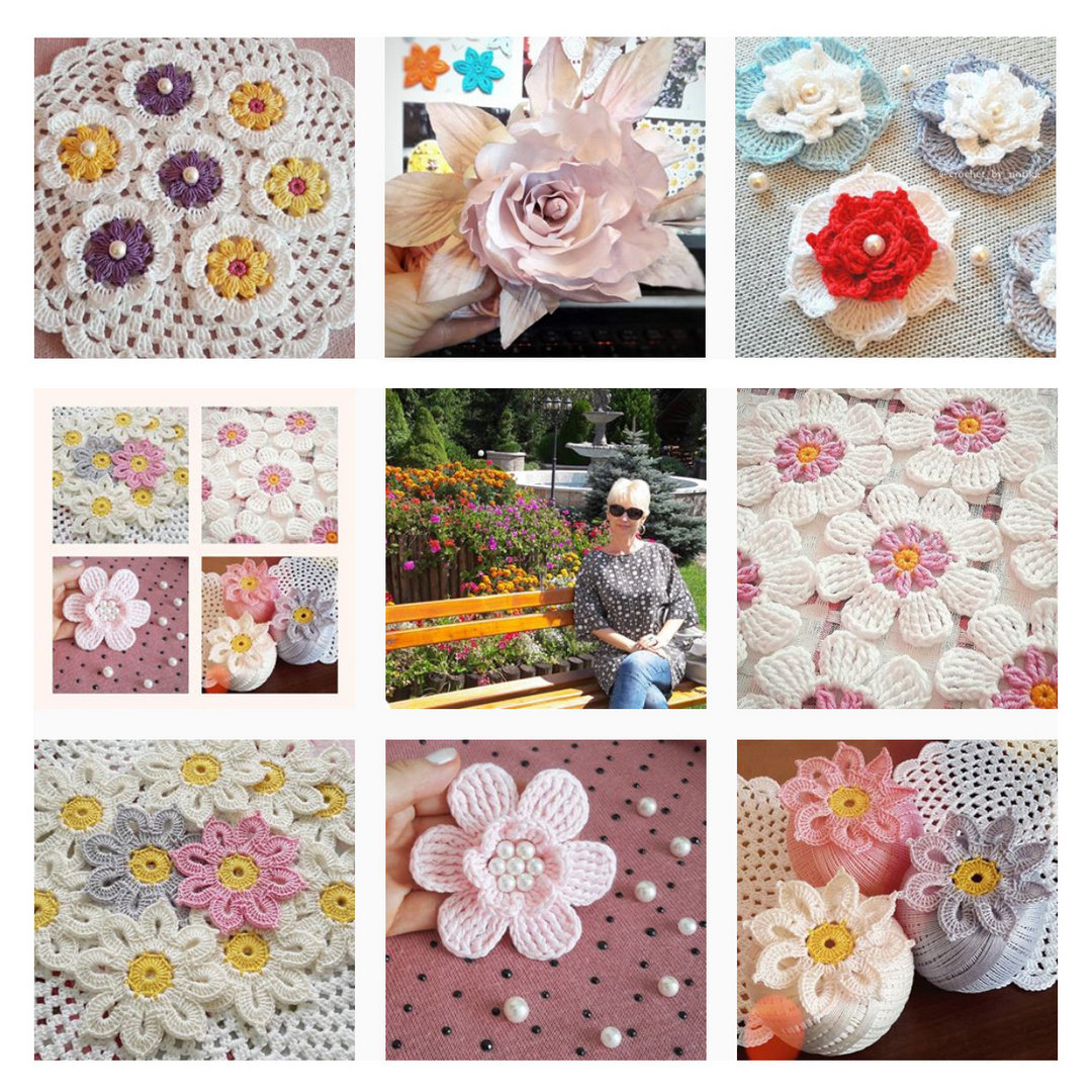 Morning in the Forest | Notikaland