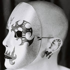 Music For Cats | cEvin Key