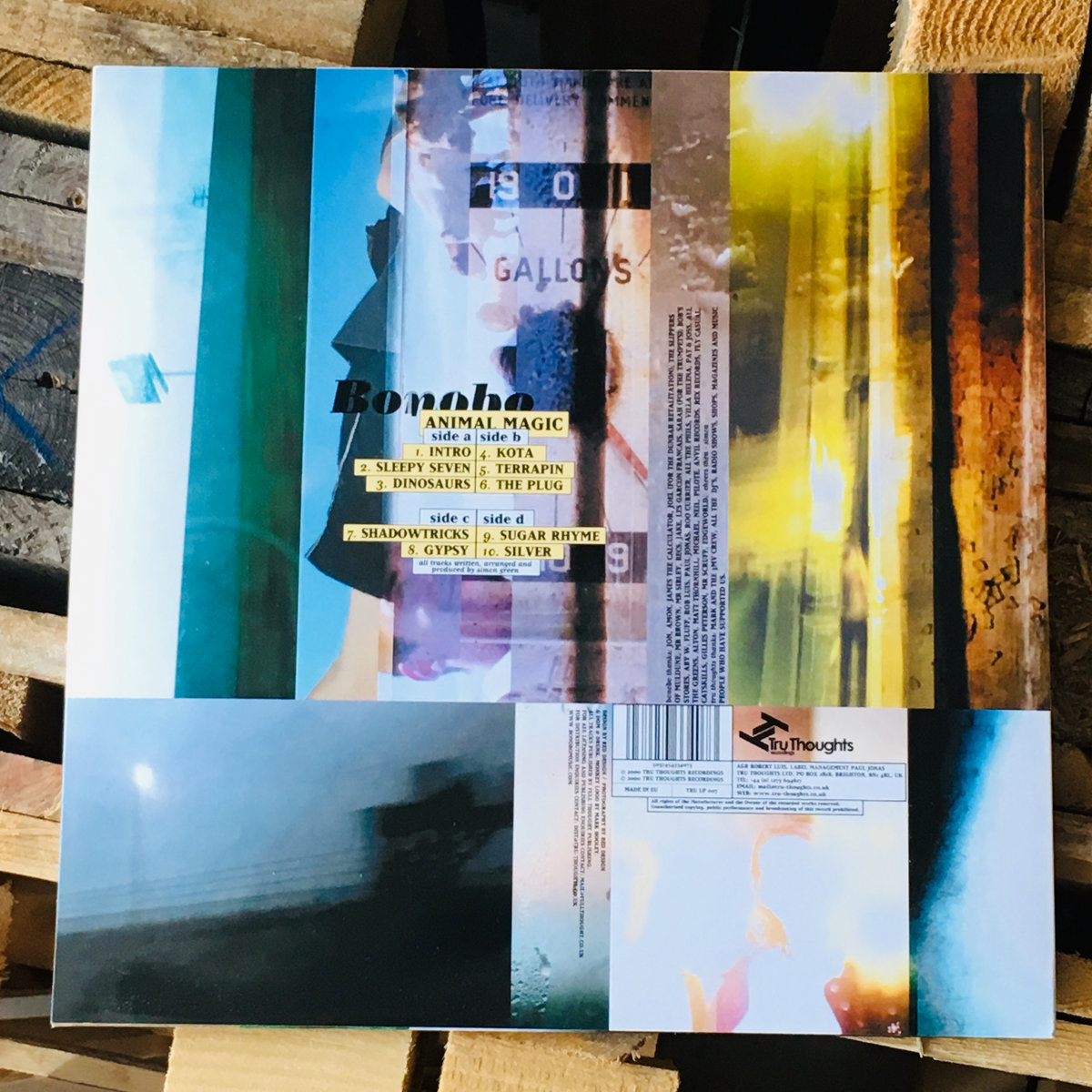 Animal Magic | Bonobo