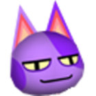 GOODNIGHT HYPNOPOMP | STOMACH BOOK