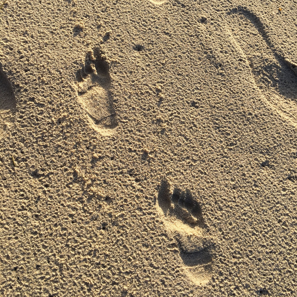 christianlaycock's collection | Bandcamp