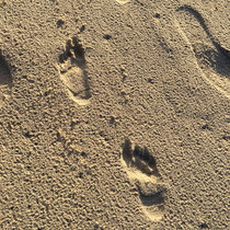 christianlaycock's collection | Bandcamp