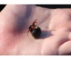 The Villain I Appear to Be | Connor Spiotto