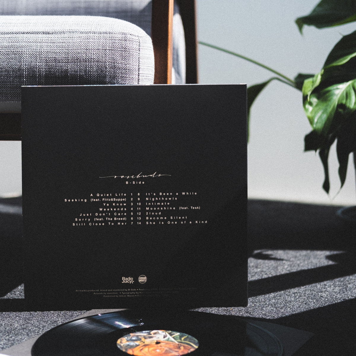 Rosebuds | B-Side | Radio Juicy